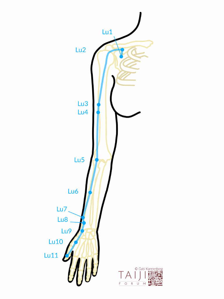 Lung Meridian Free Personal useHHH | PDF