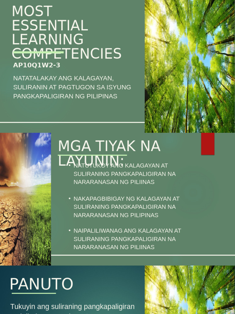 Ap 10 Week 2 3 | PDF