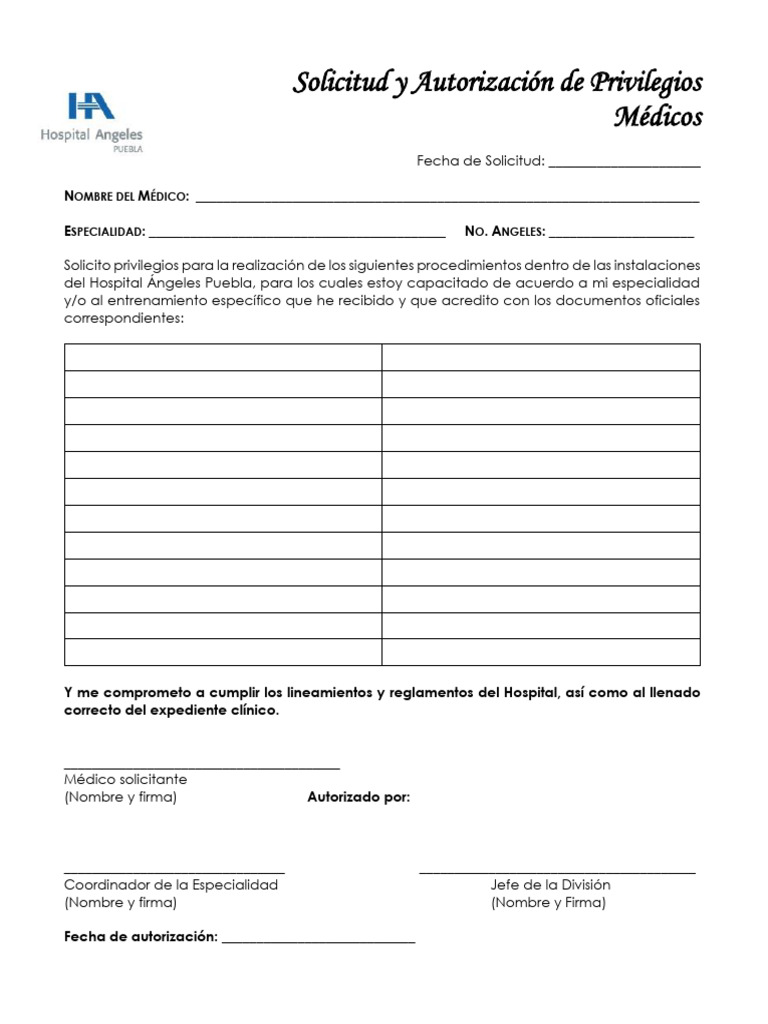 Formato Privilegios | PDF
