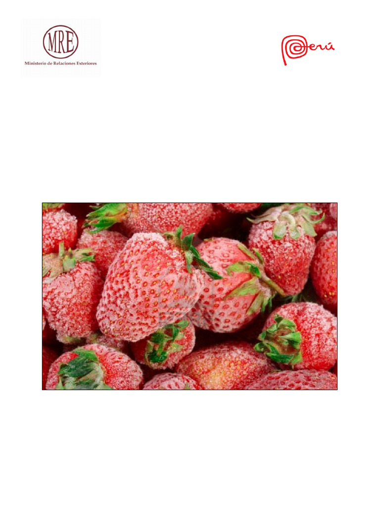 Rad 7446 E | PDF