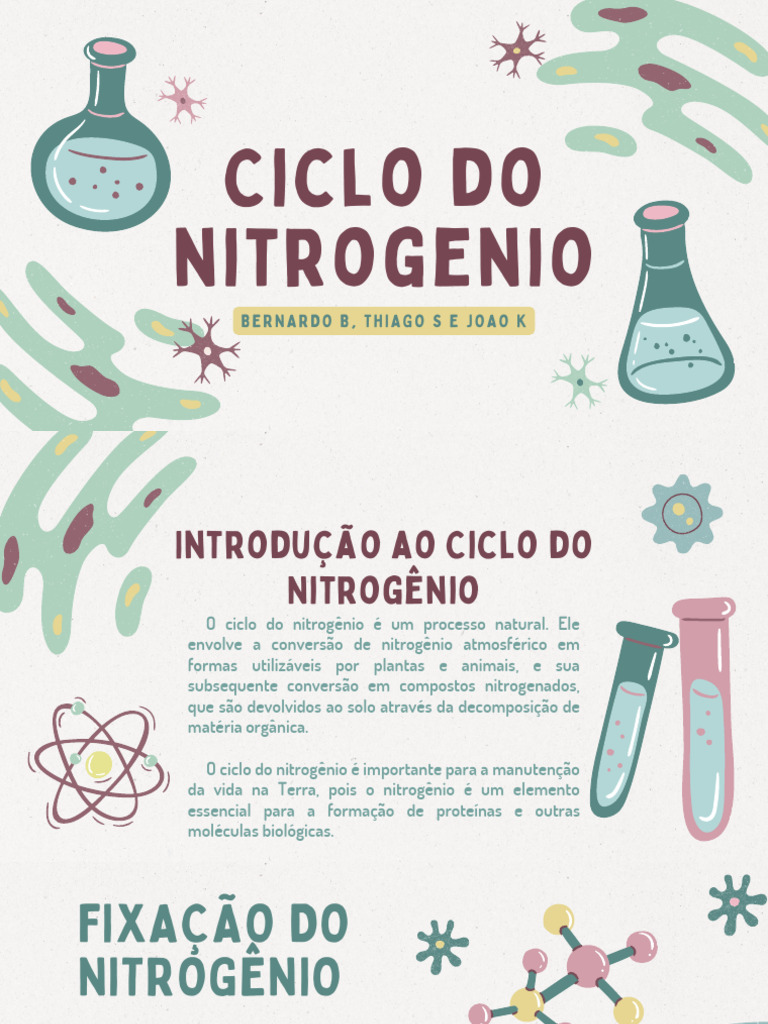Ciclo Do Nitrogenio | PDF