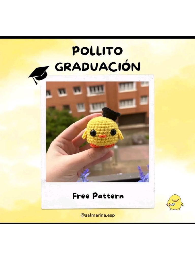 Pollito Graduado | PDF