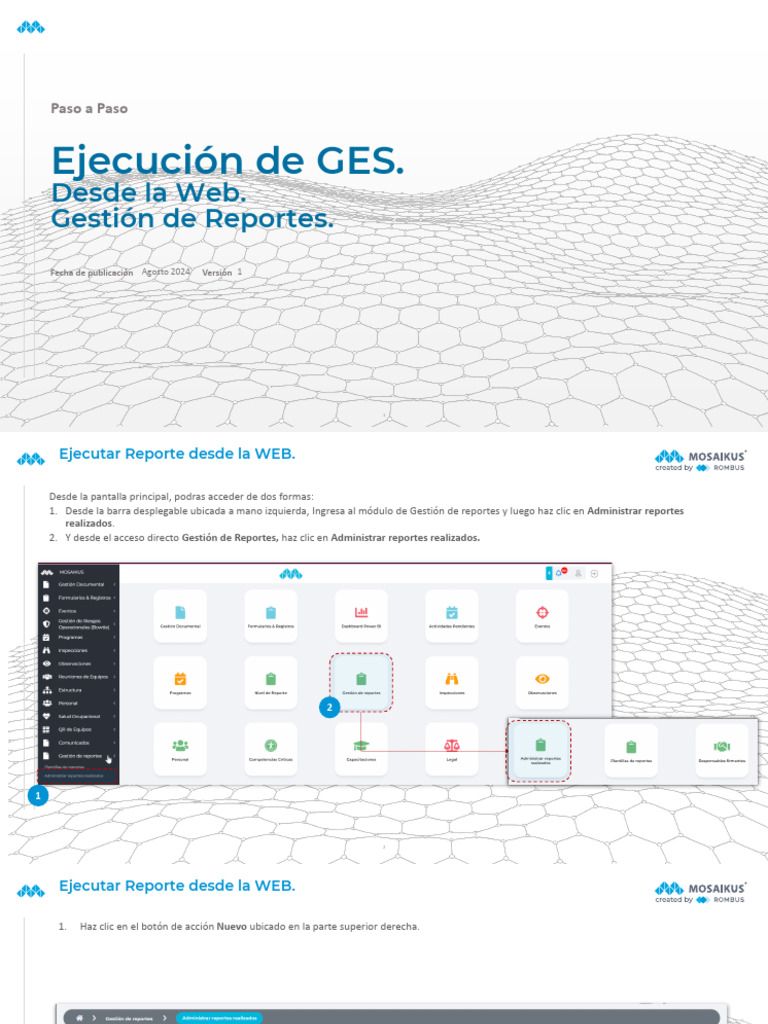 Paso A Paso Reporte Mensual EECC - WEB | PDF