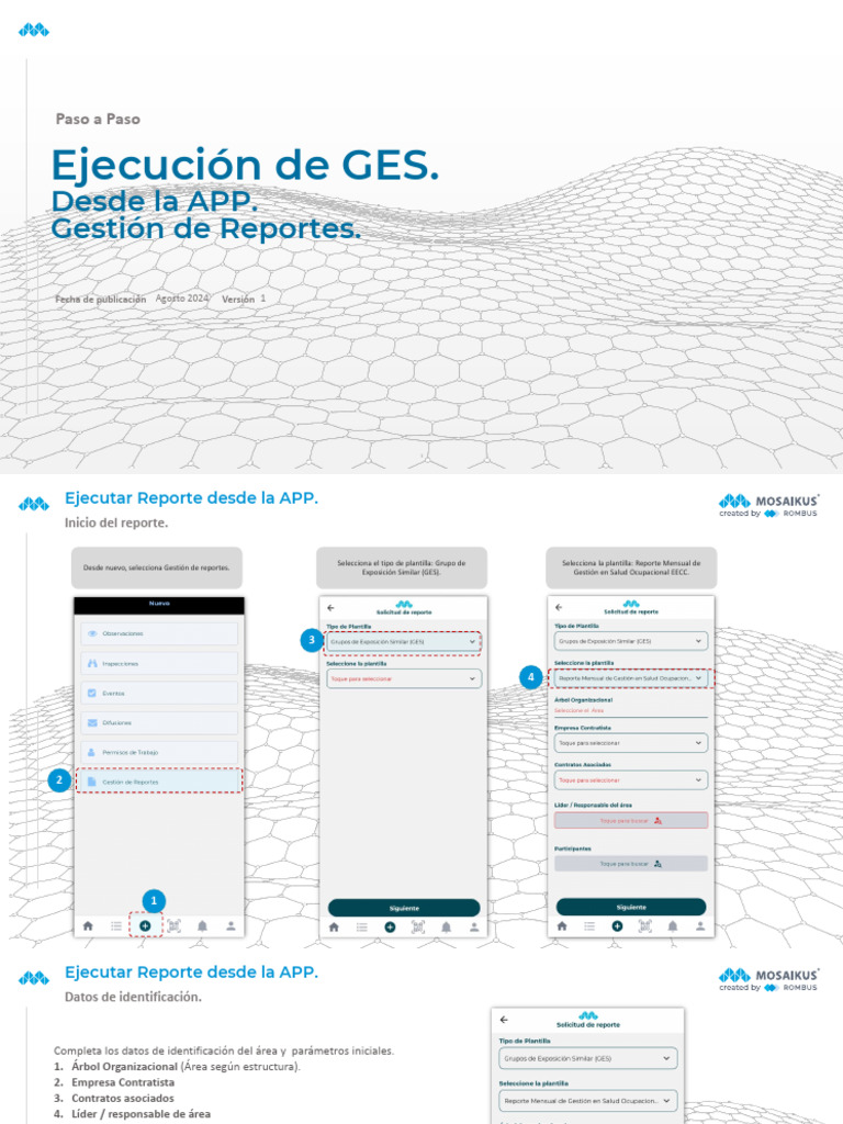 Paso a Paso Reporte Mensual EECC - APP (2) | PDF