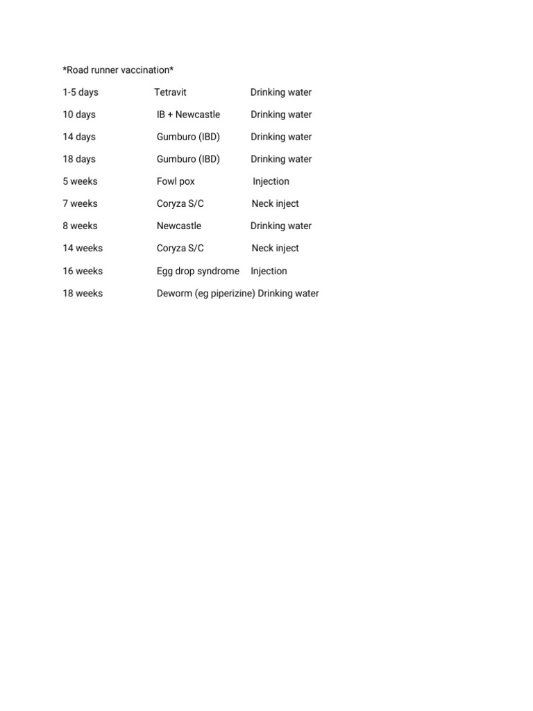 Road Runner Vac (1) - 1 | PDF