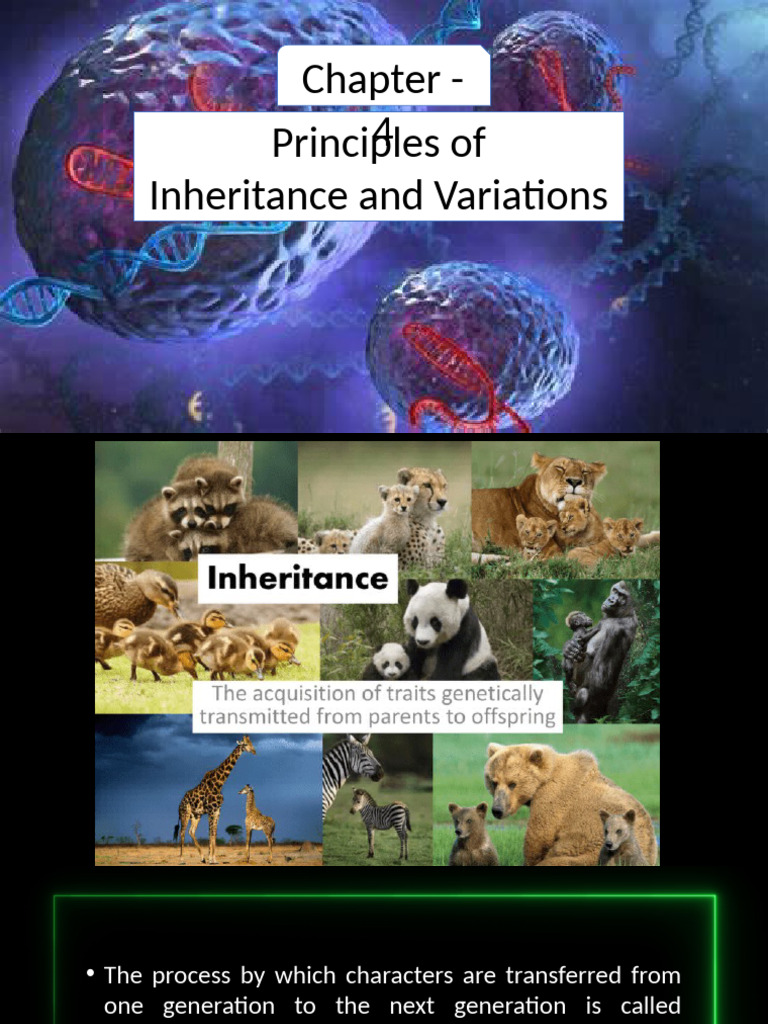 Principles of Inheritance and Variation | PDF