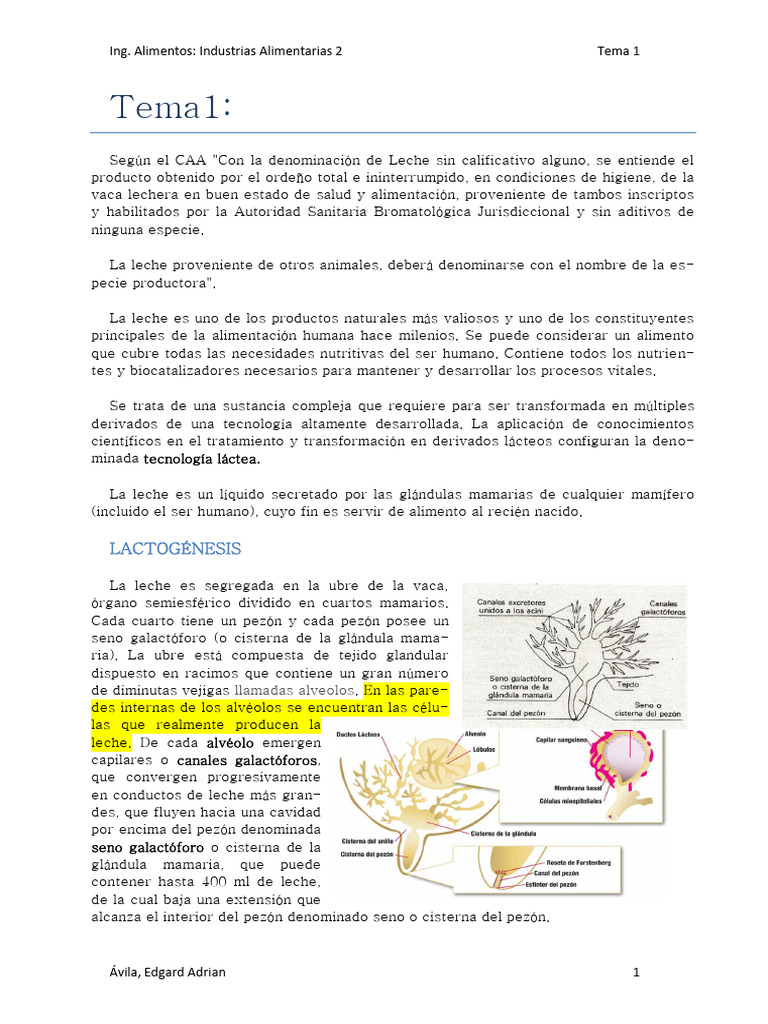 Tema 1 | PDF