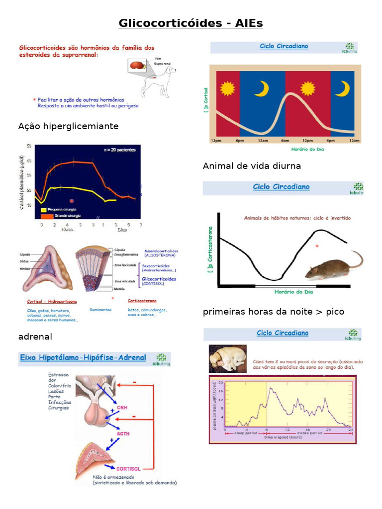 20 - Glicocorticóides - AIEs | PDF