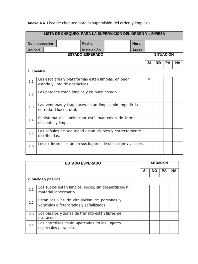 Ejemplo para Elaborar La RAI | PDF