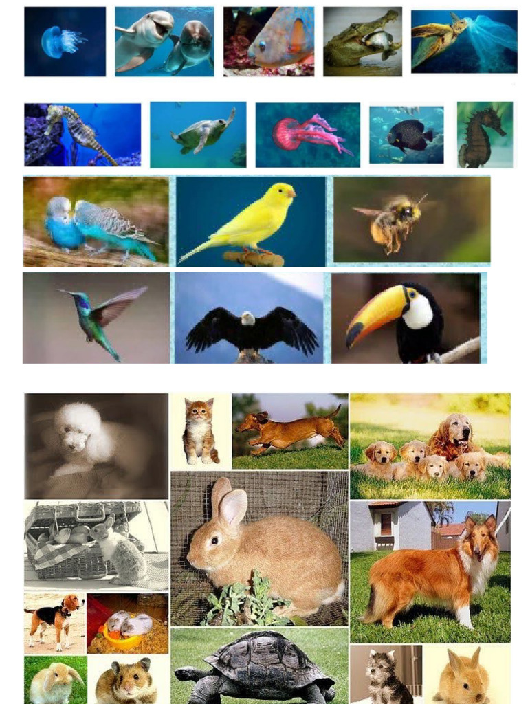 animales | PDF