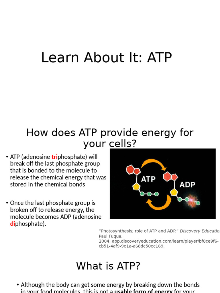 Learn About It - ATP | PDF