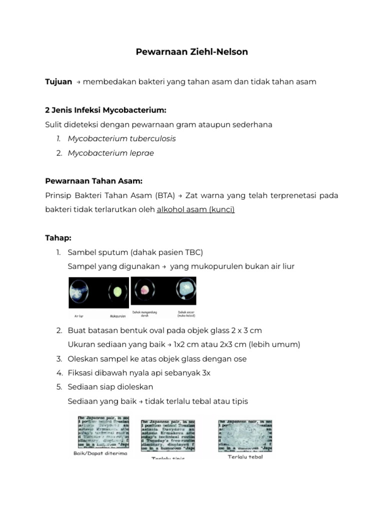 PM1. Asistensi Ziehl-Nelson | PDF