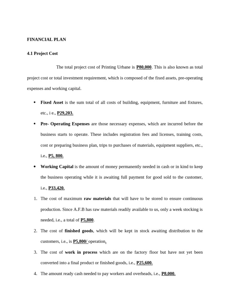 Financial Plan | PDF