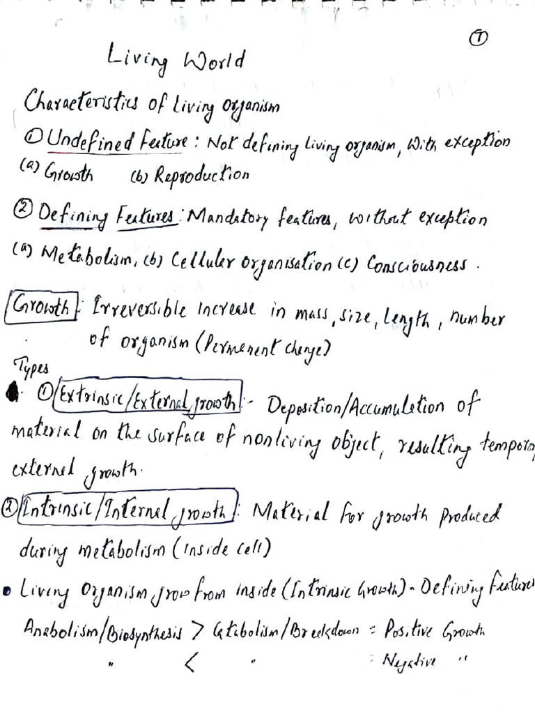 Living World | PDF