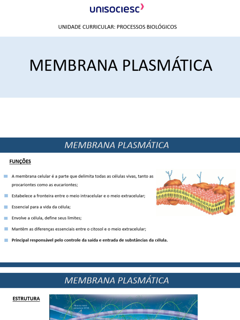 Membrana Plasmatica | PDF