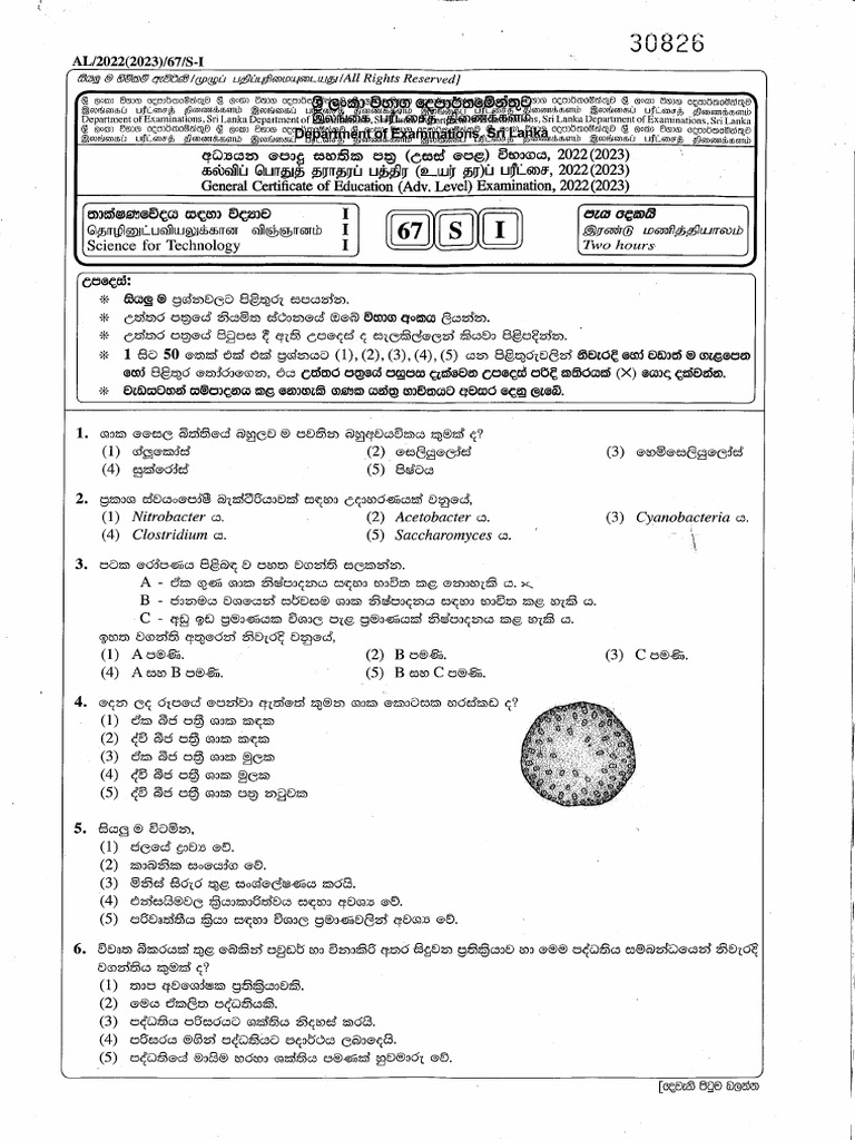 2022 Al Sft Mcq Paper | PDF