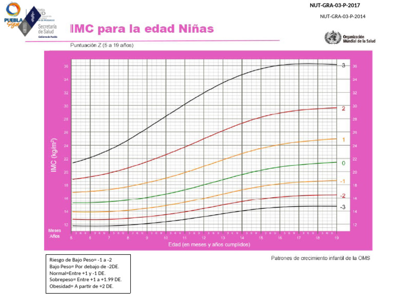 18 - Gráfica Imc - Niñas | PDF