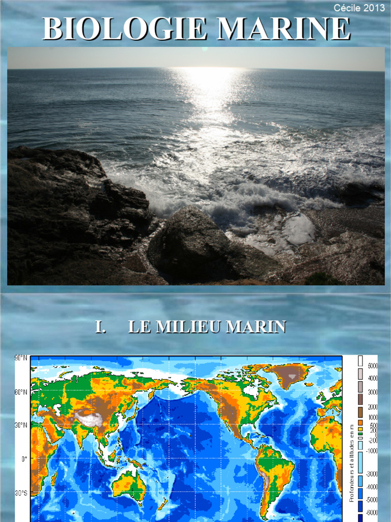 Biologie Marine Cours N.1 | PDF