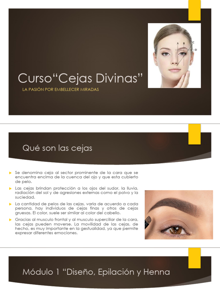 Curso Cejas Completo-3 | PDF