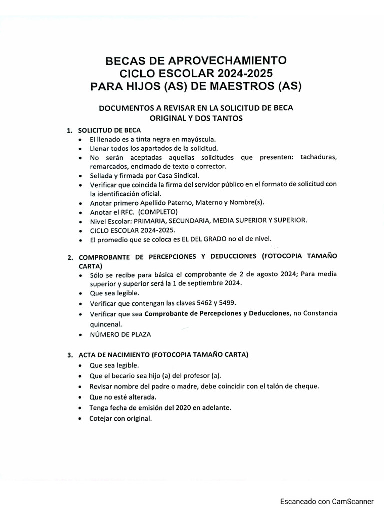 Instructivo BECAS 24-25 | PDF