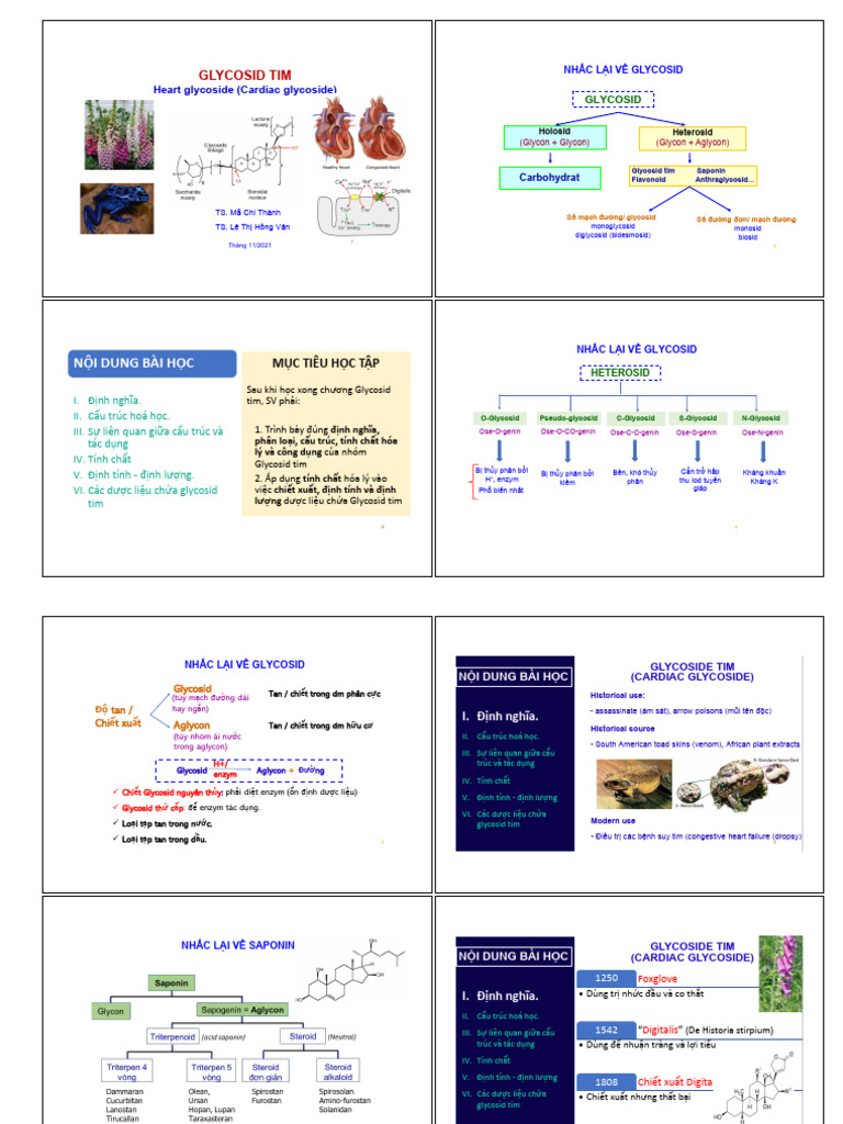 Đại Cương Glycoside Tim | PDF
