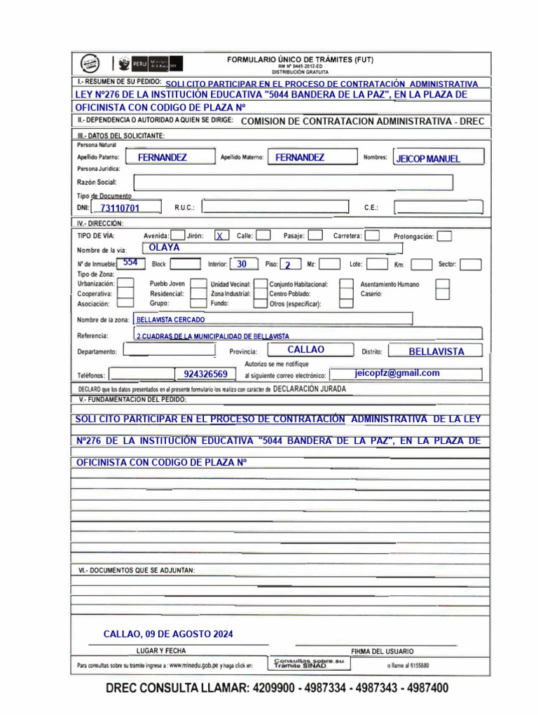 Drec Consulta Llamar: 4209900 - 4987334 - 4987343 - 4987400: Dnl:I | PDF