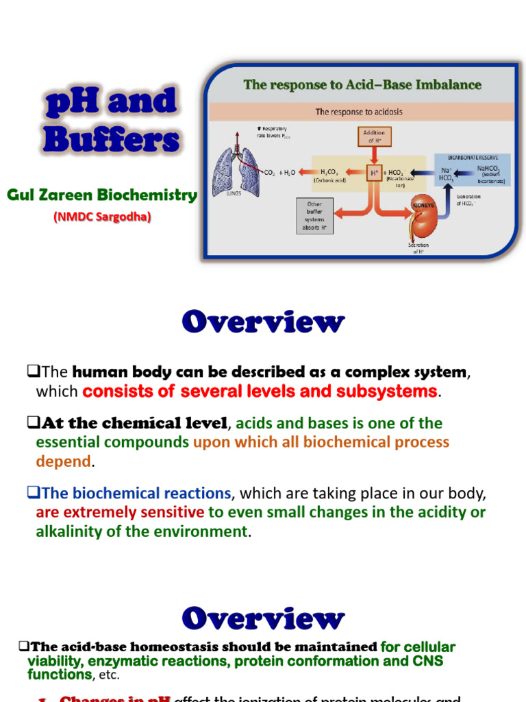 PH and Buffers Final | PDF