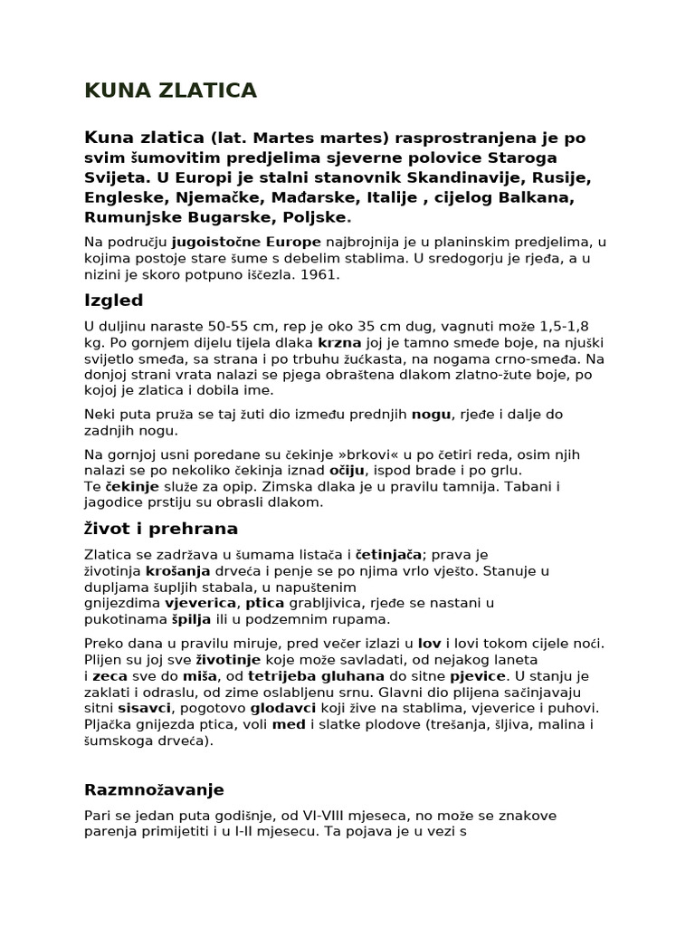 Kuna Zlatica | PDF