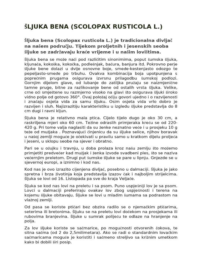 Šljuka Bena | PDF
