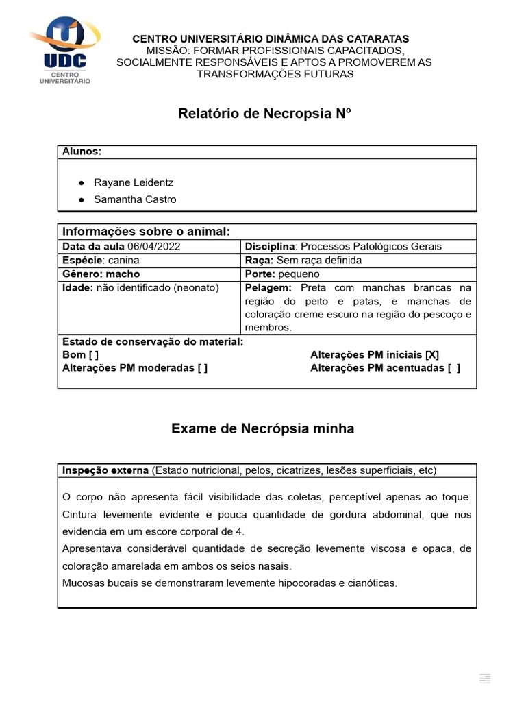 Relatório Aula Pratica - 06.04 Corrigido | PDF