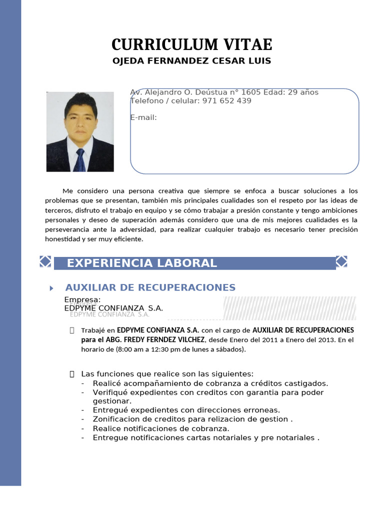 CV Cesar Ojeda 2024 | PDF