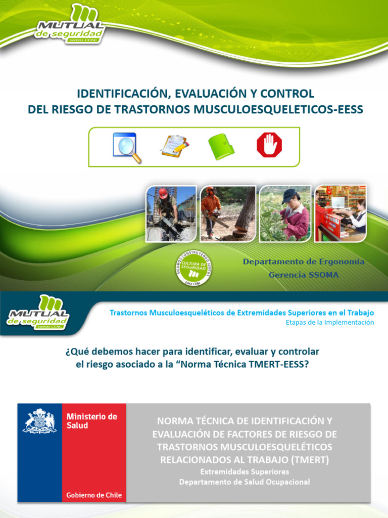 4.-IMPLEMENTACIÓN NORMA TECNICA TMERT-EESS ENE2015 | PDF