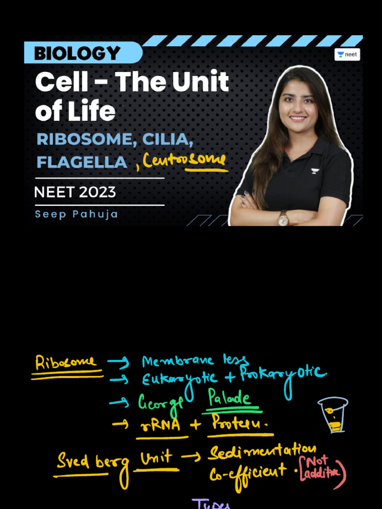 Cell L6 Pdf