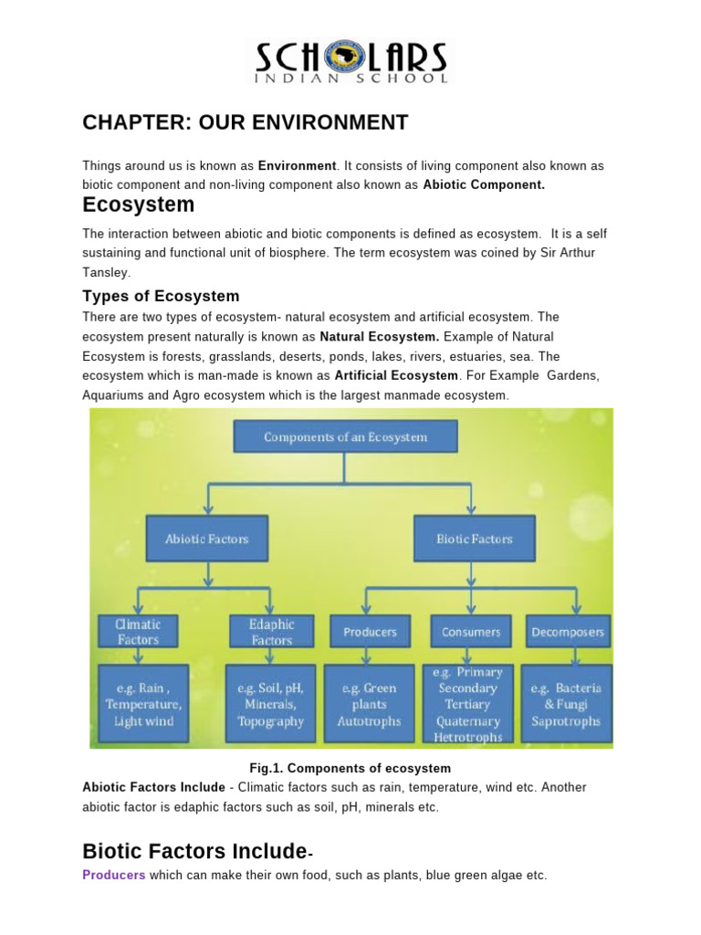 Our Environment Notes | PDF