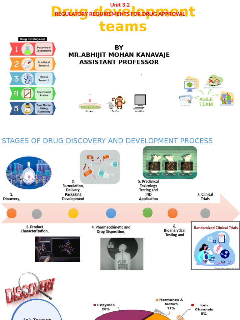 Drug Development Team | PDF