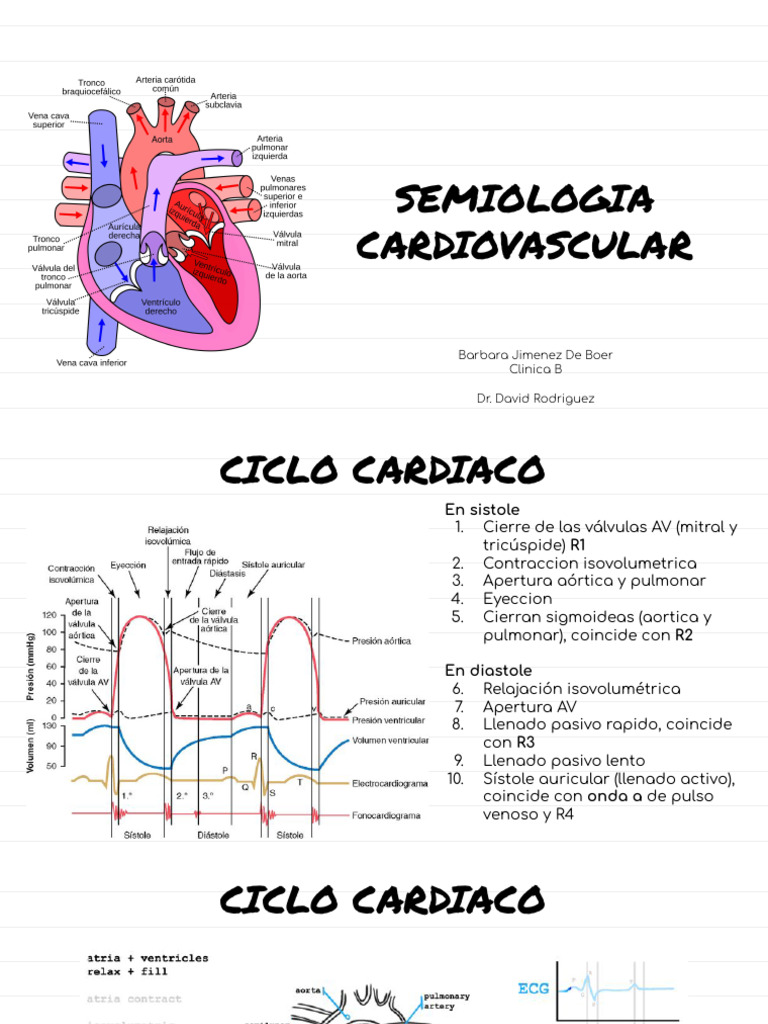 SEMIOLOGIA CARDIO | PDF