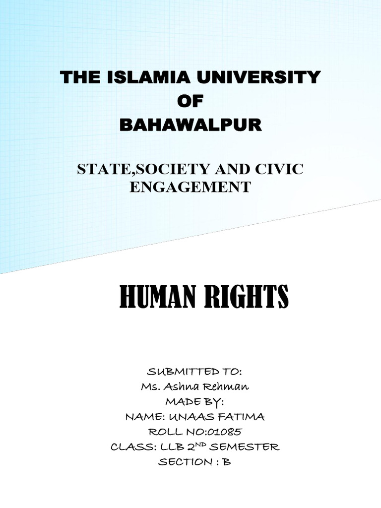 Human Rights | PDF