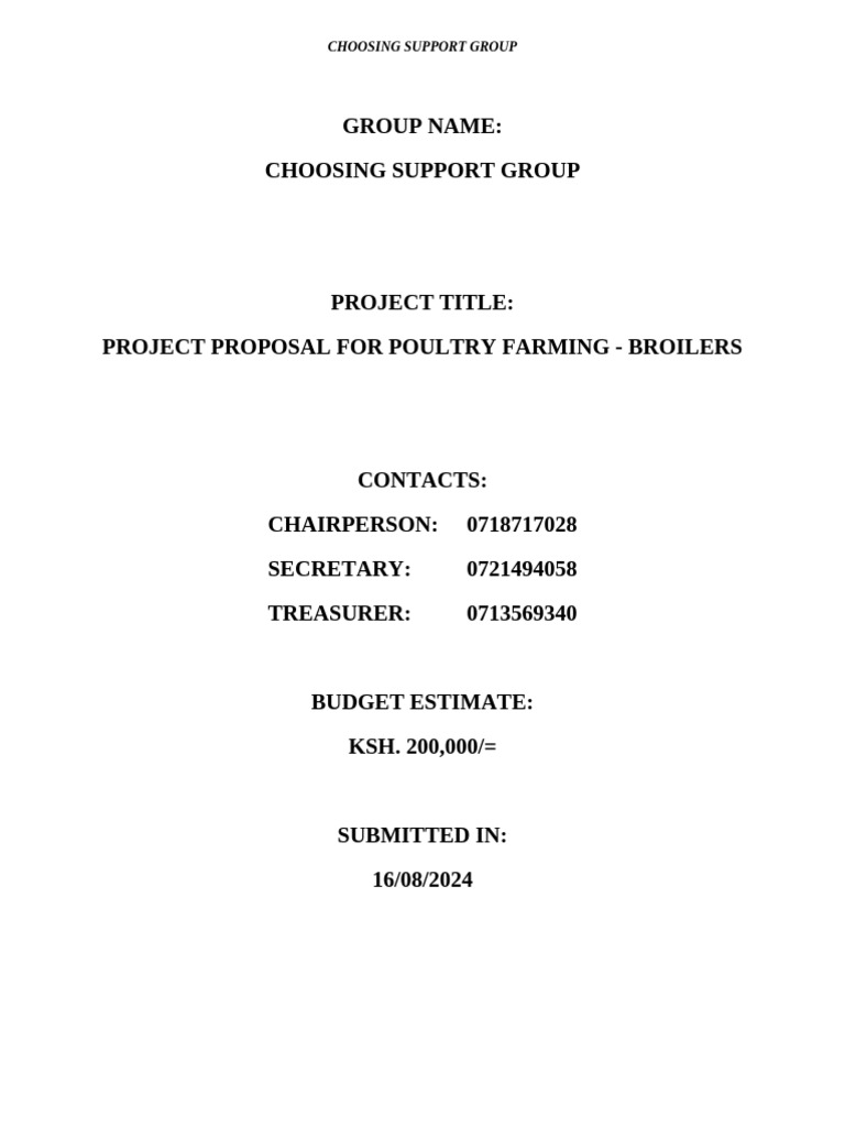 Choosing Support Group Proposal 2024 | PDF