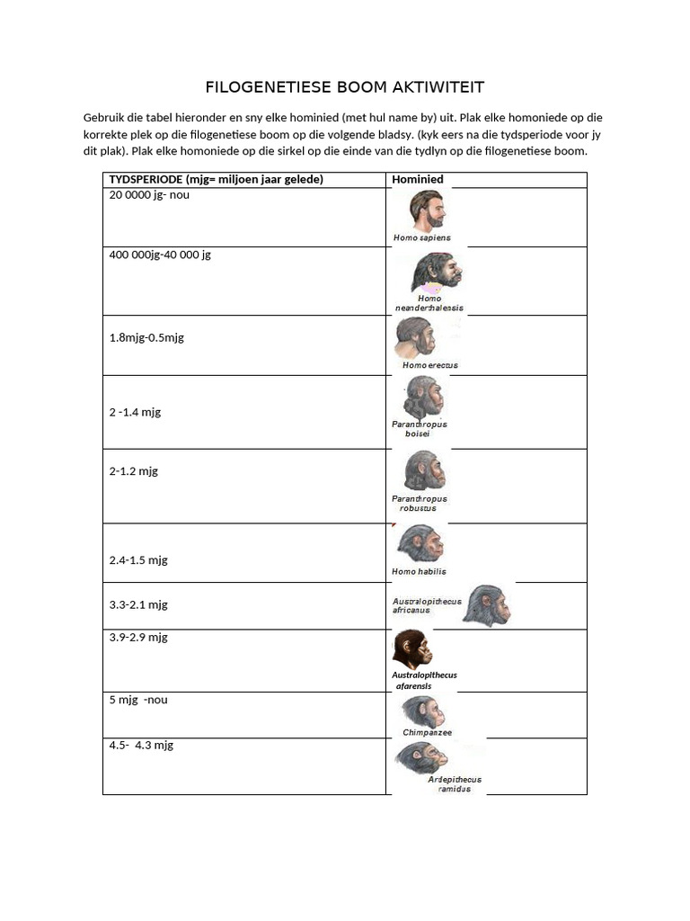 Afr Template Phylogenetic Tree | PDF