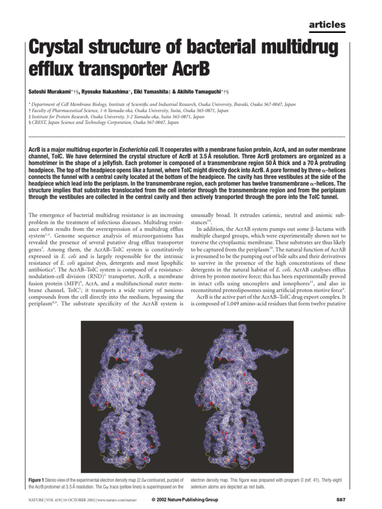 Crystal Structure of Bacterial Multidrug Efflux Transporter AcrB | PDF ...