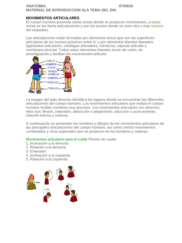 Movimientos Articulares | PDF