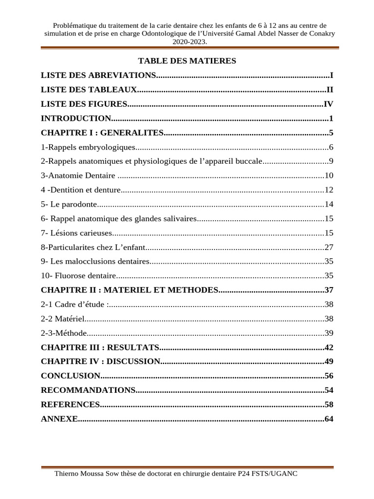 These de Memoire Moussa Final-Hp | PDF