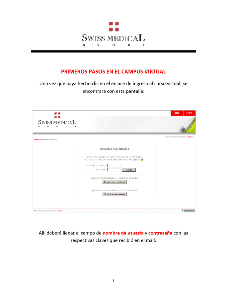 Swiss Primeros Pasos | PDF