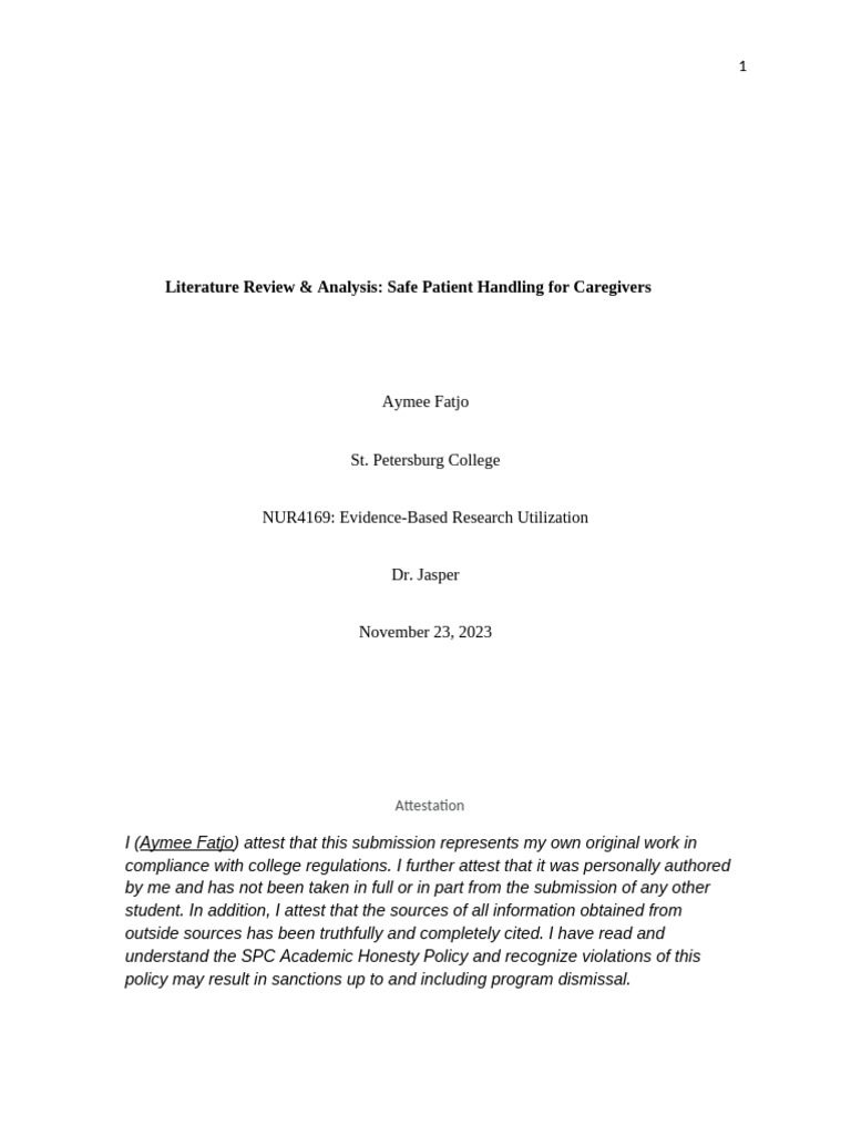 Literature Review Draft | PDF