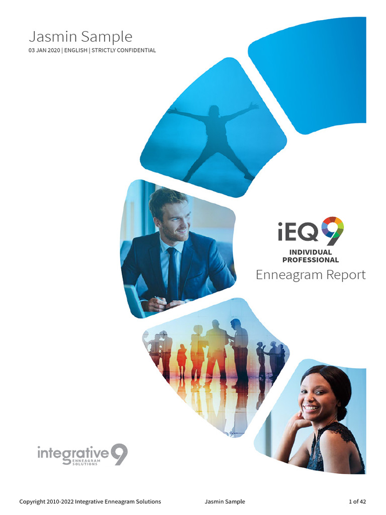 iEQ9 Sample PRO Report | PDF
