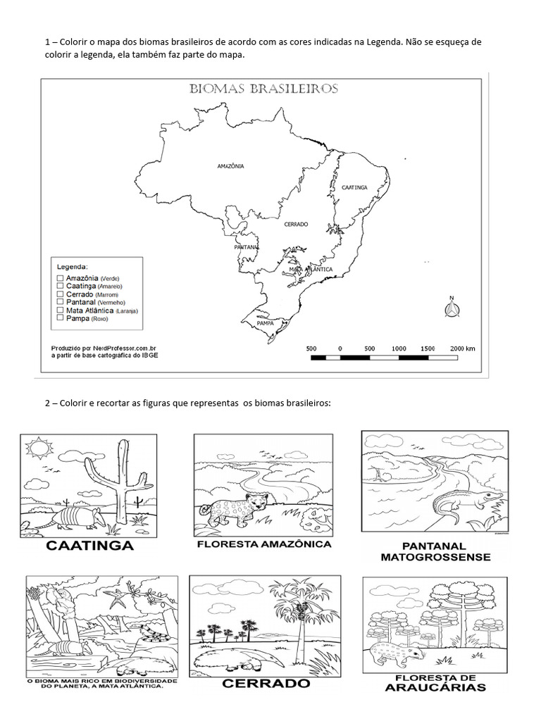 ATIVIDADE COLORIR MAPA DOS BIOMAS BRASILEIROS | PDF