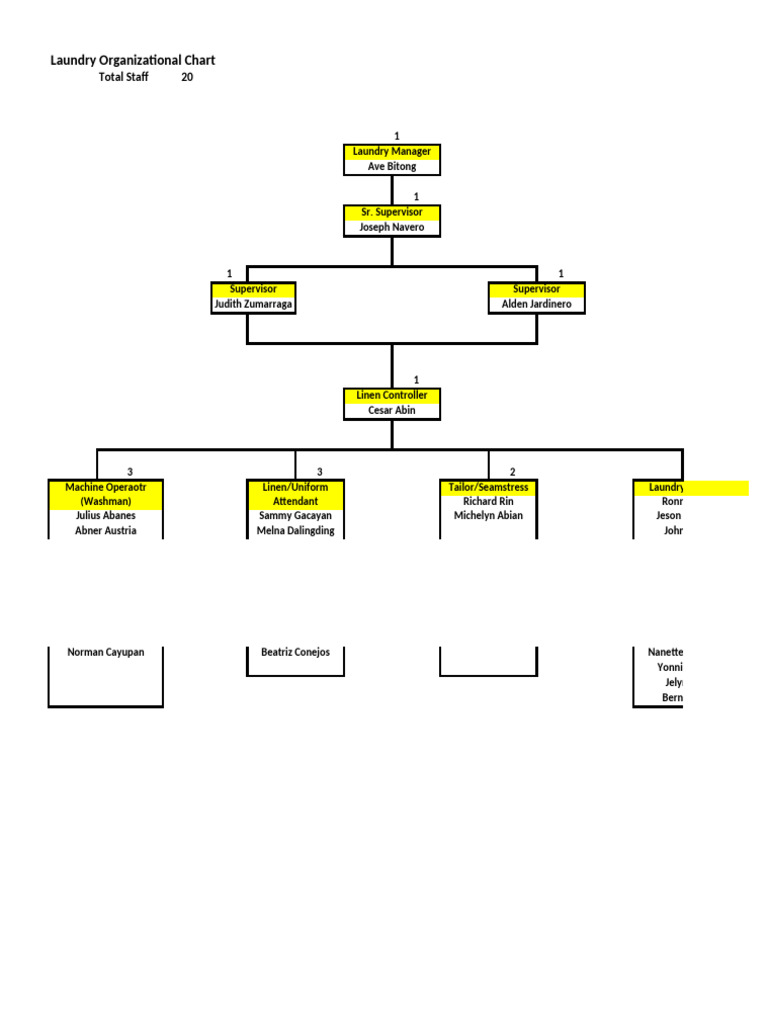 Laundry Organizational Chart | PDF