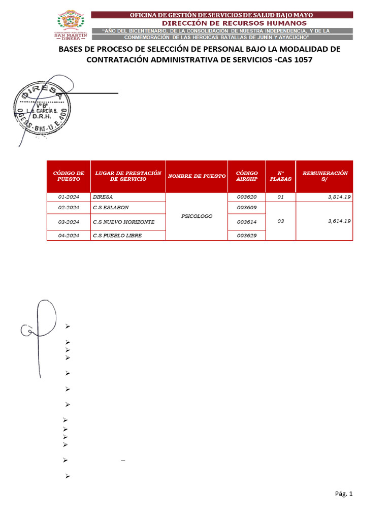 Bases de Conv. N 005 2024 Diresa Ogess BM DG 1 | PDF