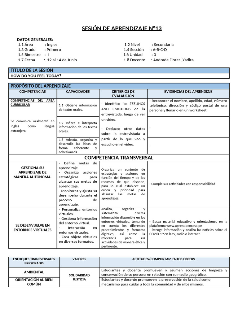FEELINGS AND EMOTIONS LESSON PLAN | PDF