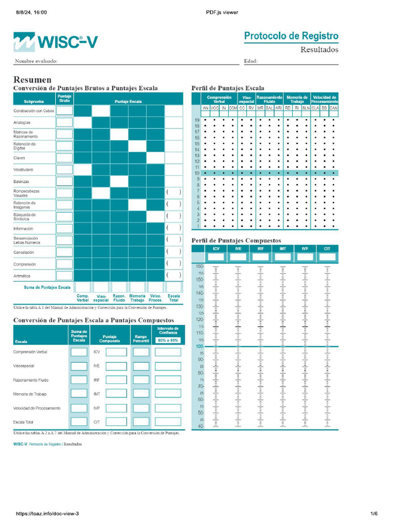 Protocolo Registro WISC V | PDF